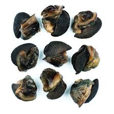 Fresh Frozen Snails (5 Count) - Mychopchop - #1 Online African Grocery ...